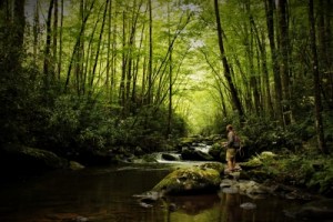 Green Weenie Fly Step-by-Step - The Fat Fingered Fly Tyer