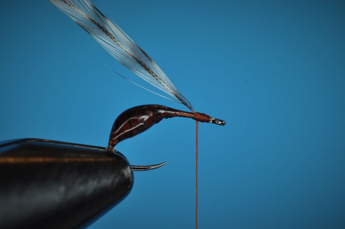 Sunken Ant Fly Step-by-Step - The Fat Fingered Fly Tyer