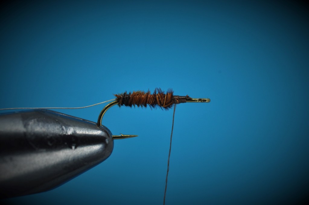 Bloom's Caddis Fly Step-by-Step - The Fat Fingered Fly Tyer