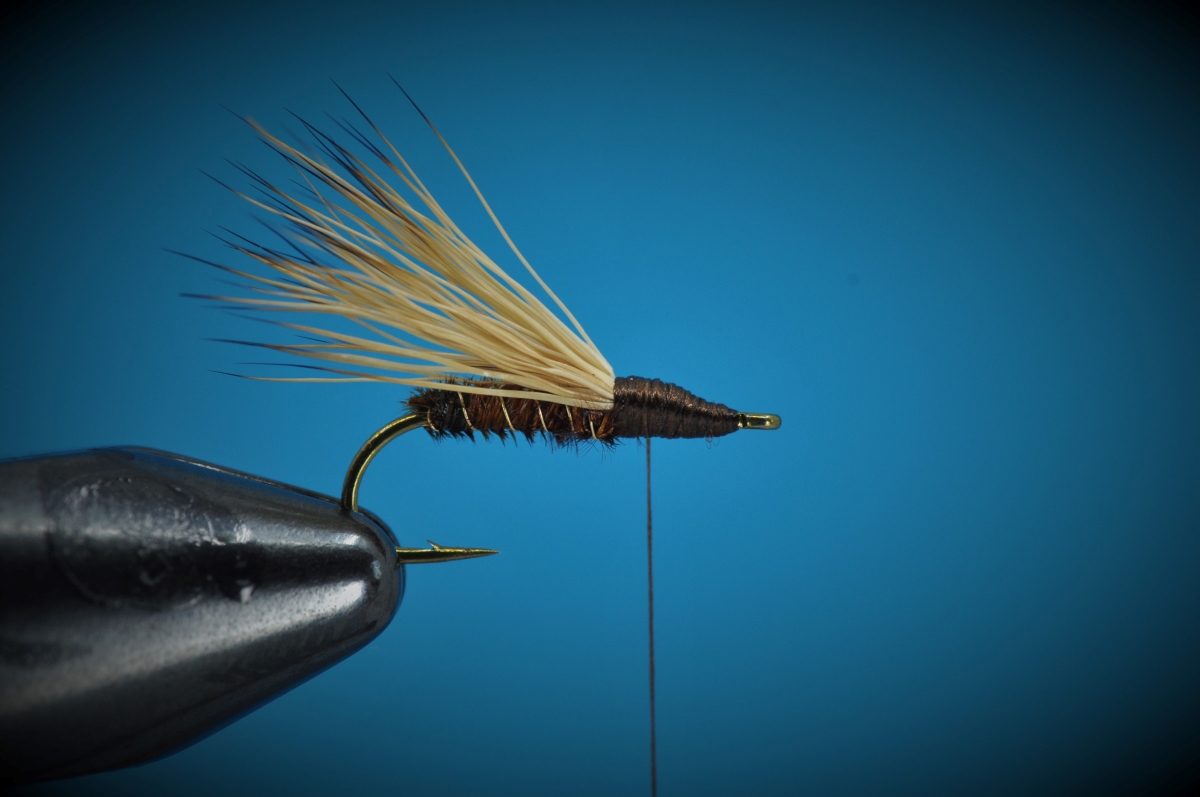 Bloom's Caddis Fly Step-by-Step - The Fat Fingered Fly Tyer