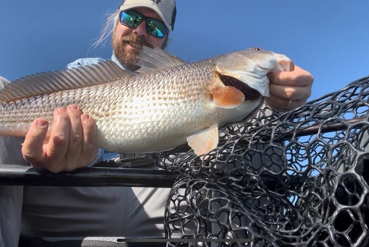 Birthday Redfish - The Fat Fingered Fly Tyer