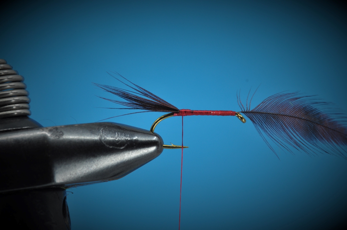Tying the Flymph Step-by-Step - The Fat Fingered Fly Tyer
