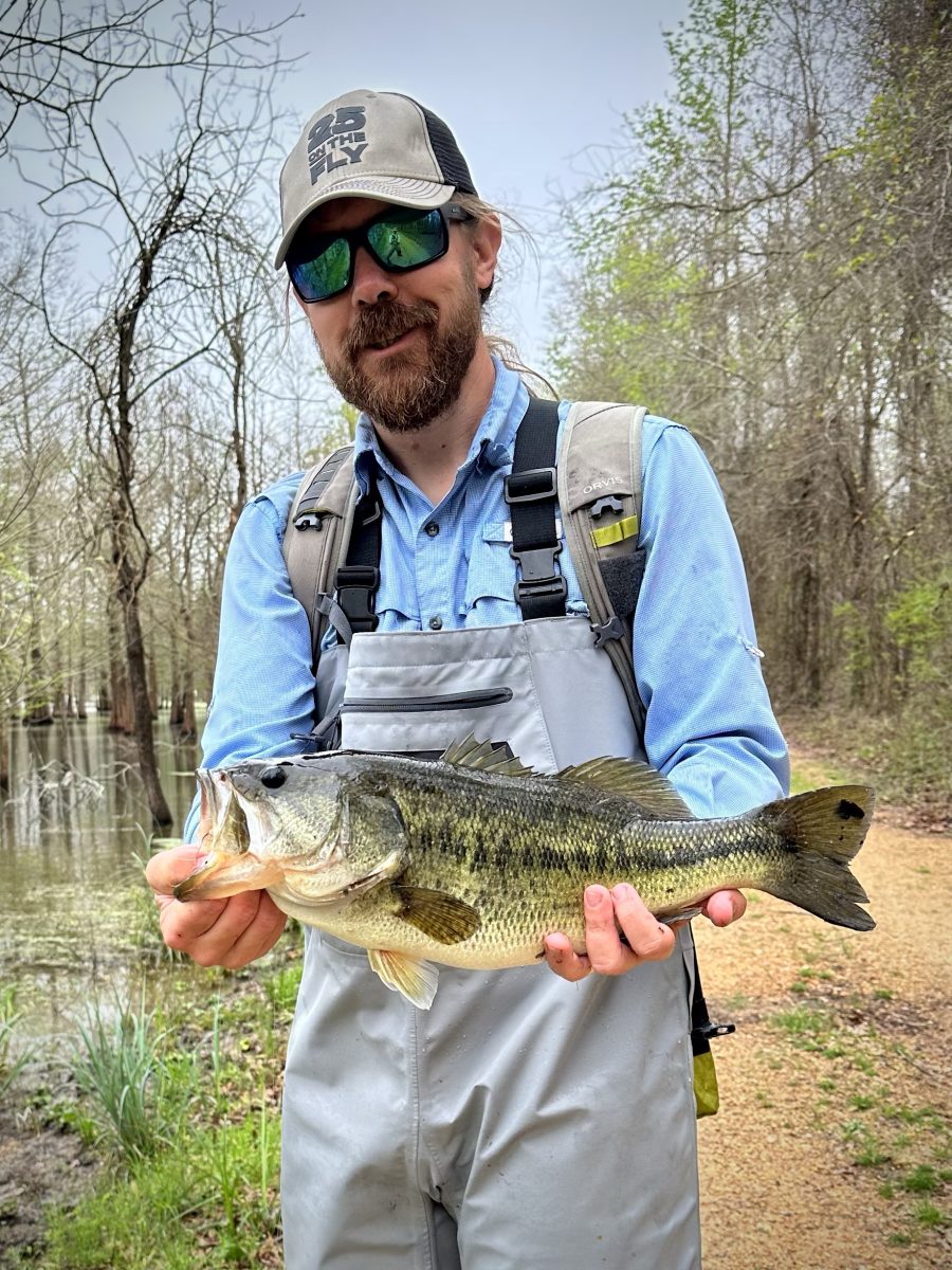 Bass & Panfish Gallery - The Fat Fingered Fly Tyer