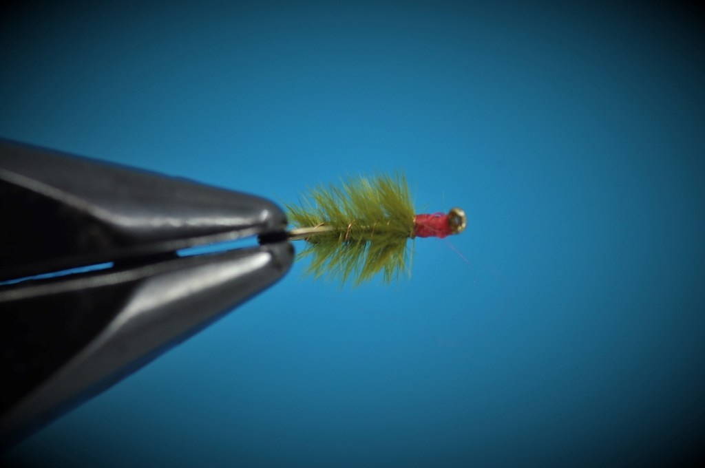 Ray Charles Nymph Step-by-Step - The Fat Fingered Fly Tyer