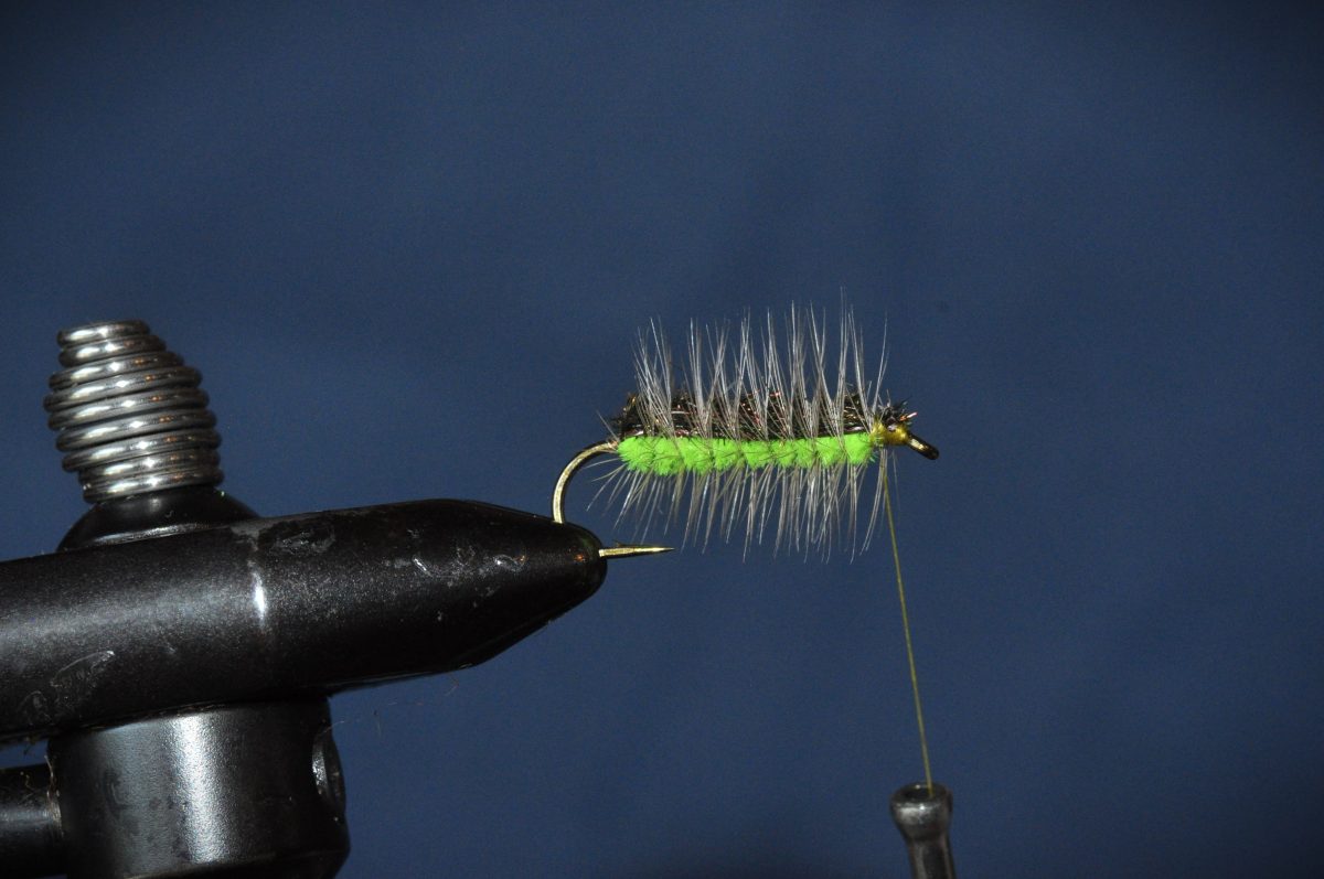 Caterpillar Dry Fly Step-by-Step - The Fat Fingered Fly Tyer